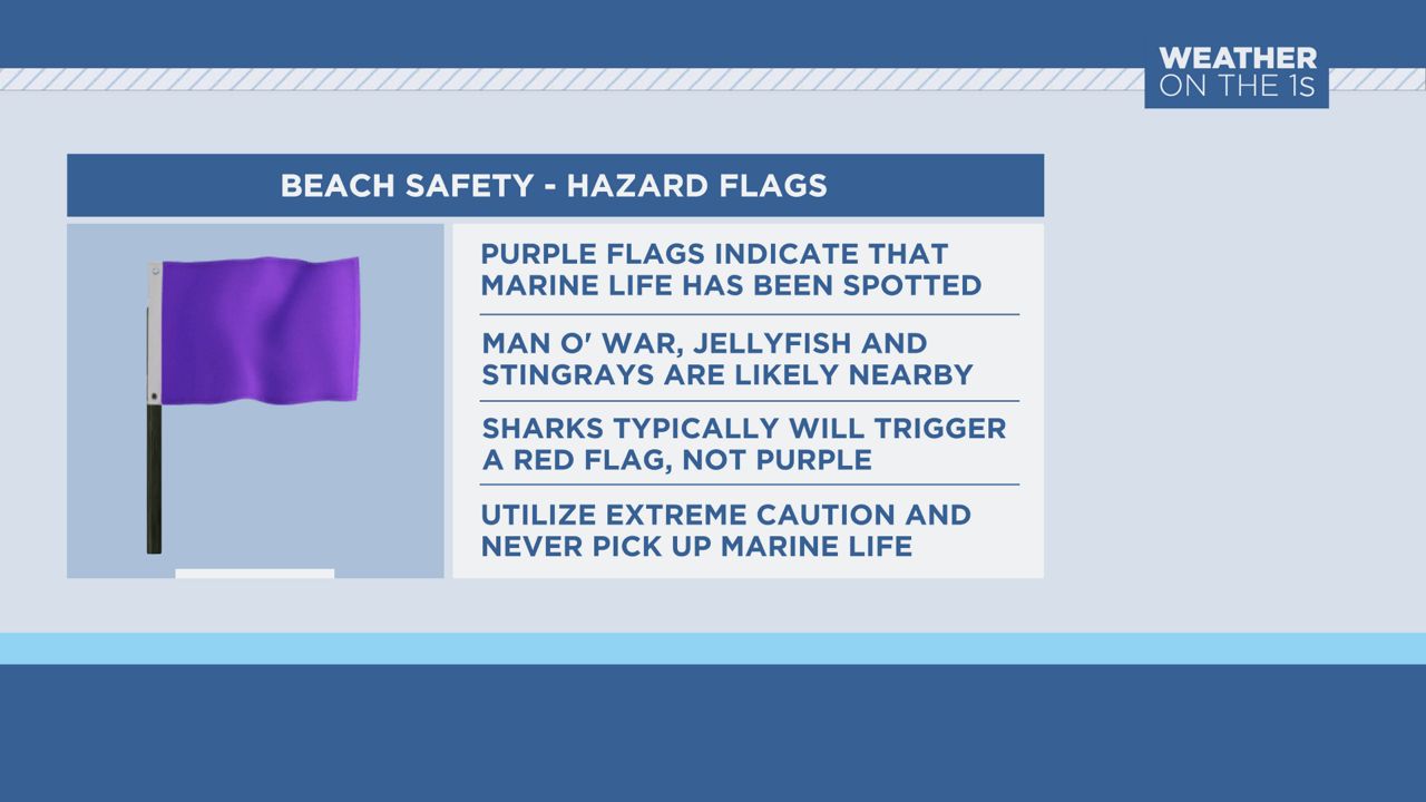 Severe Weather Awareness Week: Rip currents